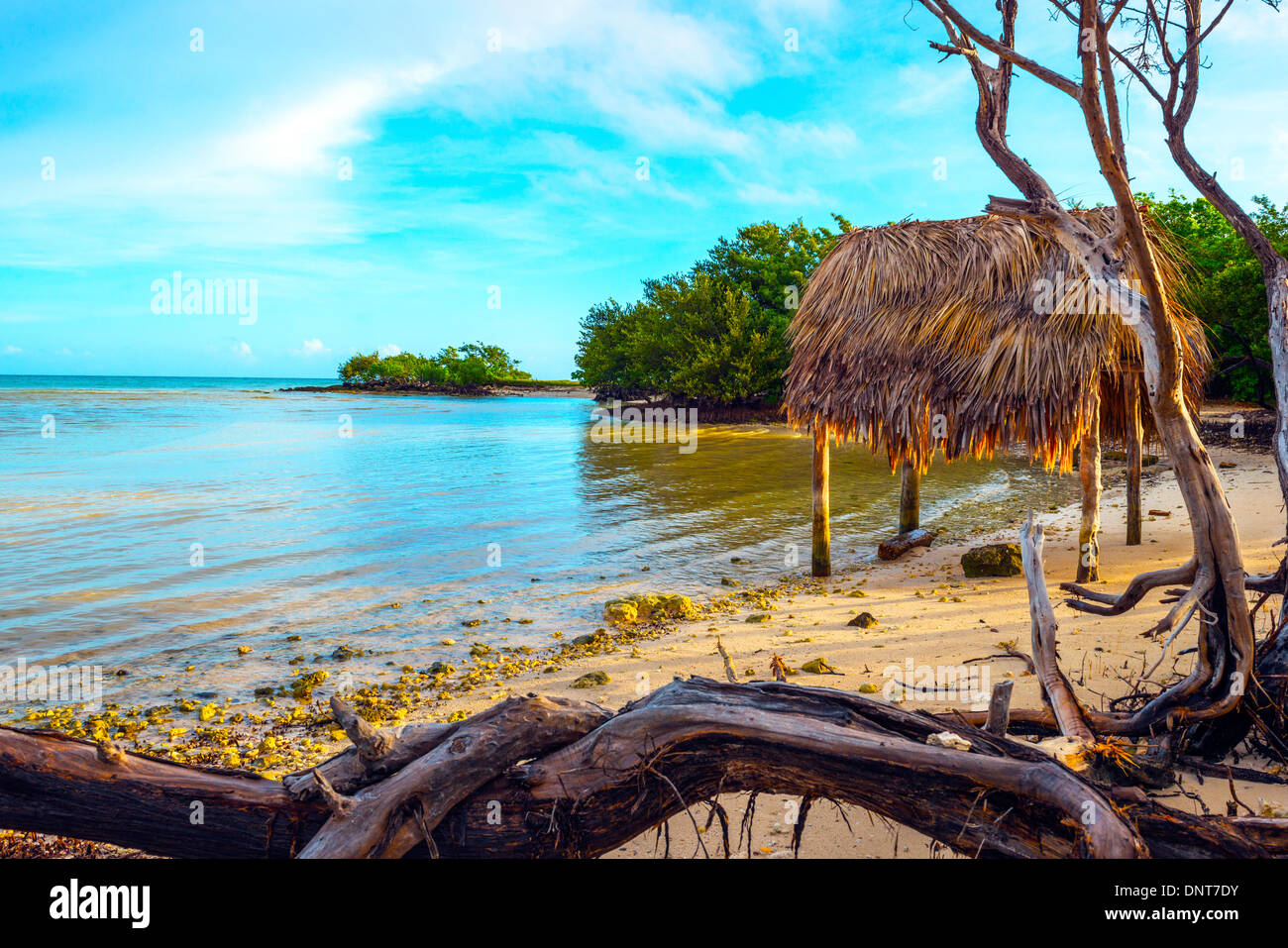 Beach Cayo Coco Cuba Stock Photo - Alamy