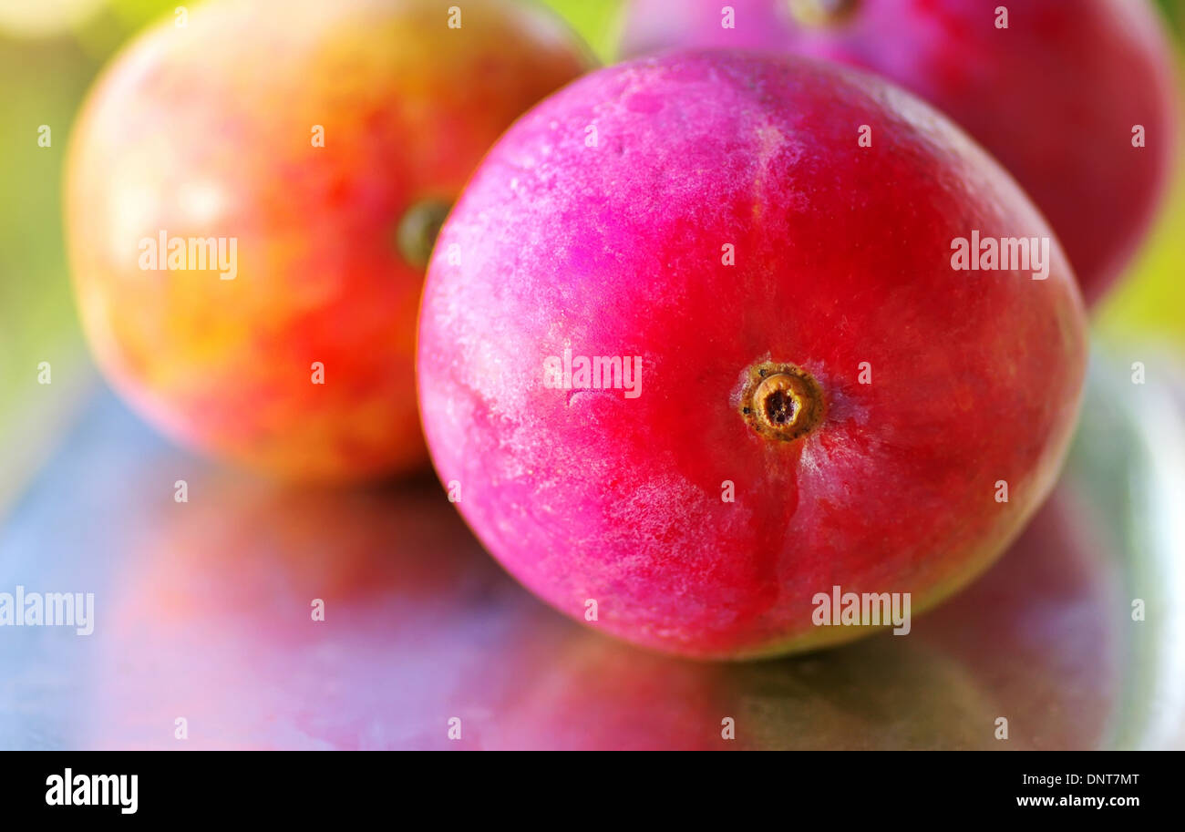 Ripe mangoes fruits Stock Photo - Alamy