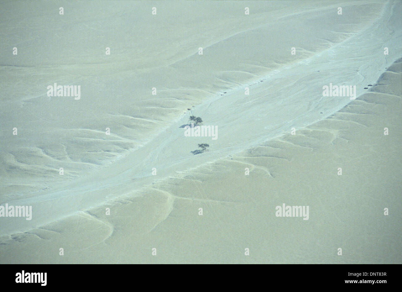 Aerial view of trees in Kuiseb river, Namibia, Africa Stock Photo - Alamy