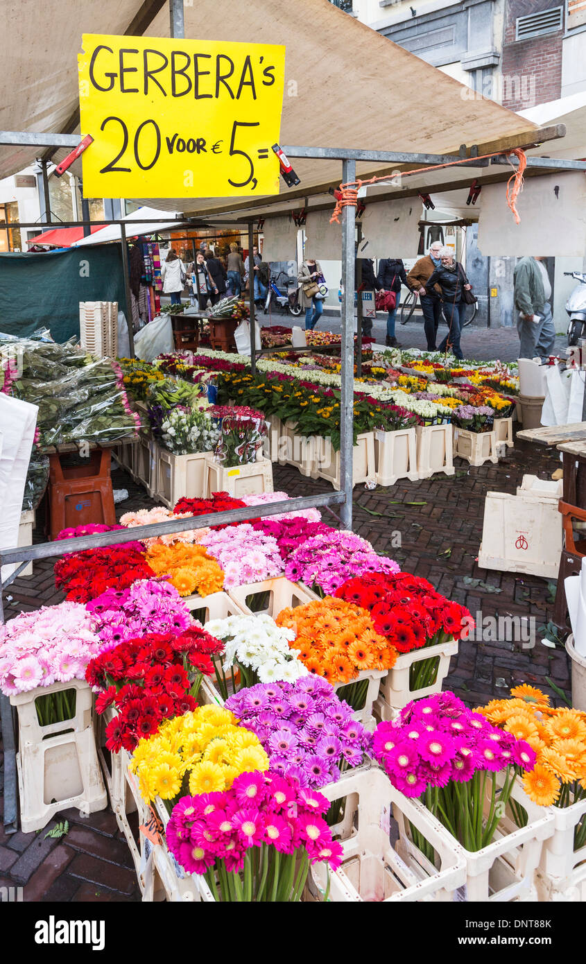 Utrecht market hi-res stock photography and images - Alamy
