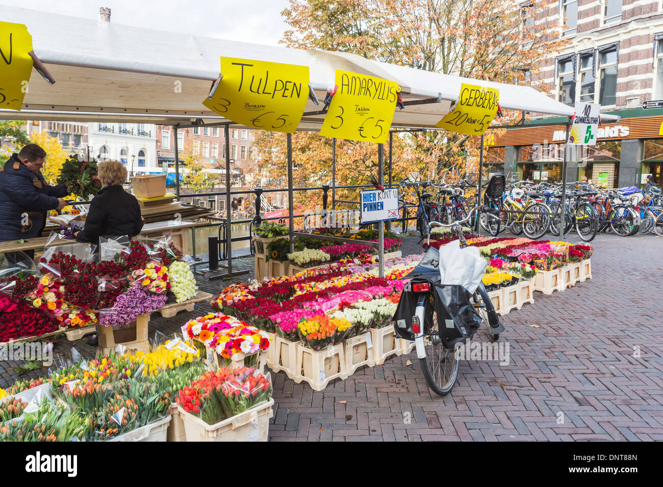 Flower market stall selling colourful bunches of flowers at Utrecht ...