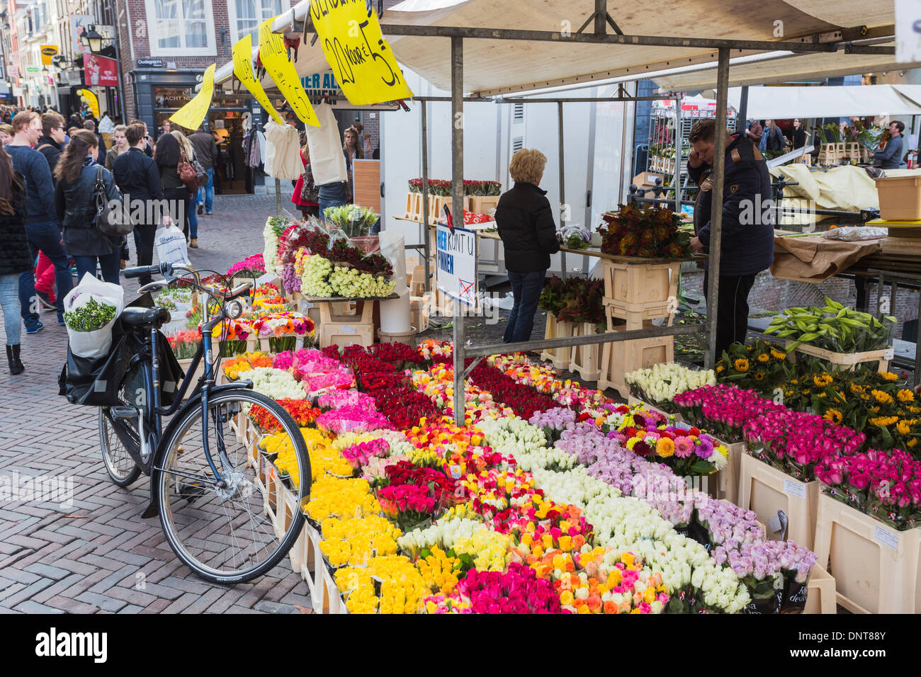 Utrecht market hi-res stock photography and images - Alamy