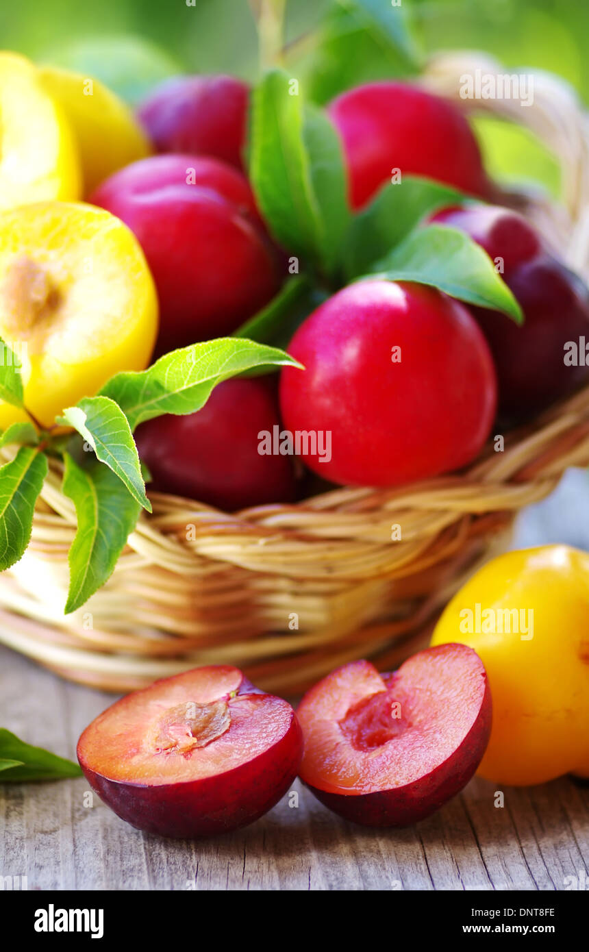 Plum cut in half hi-res stock photography and images - Alamy