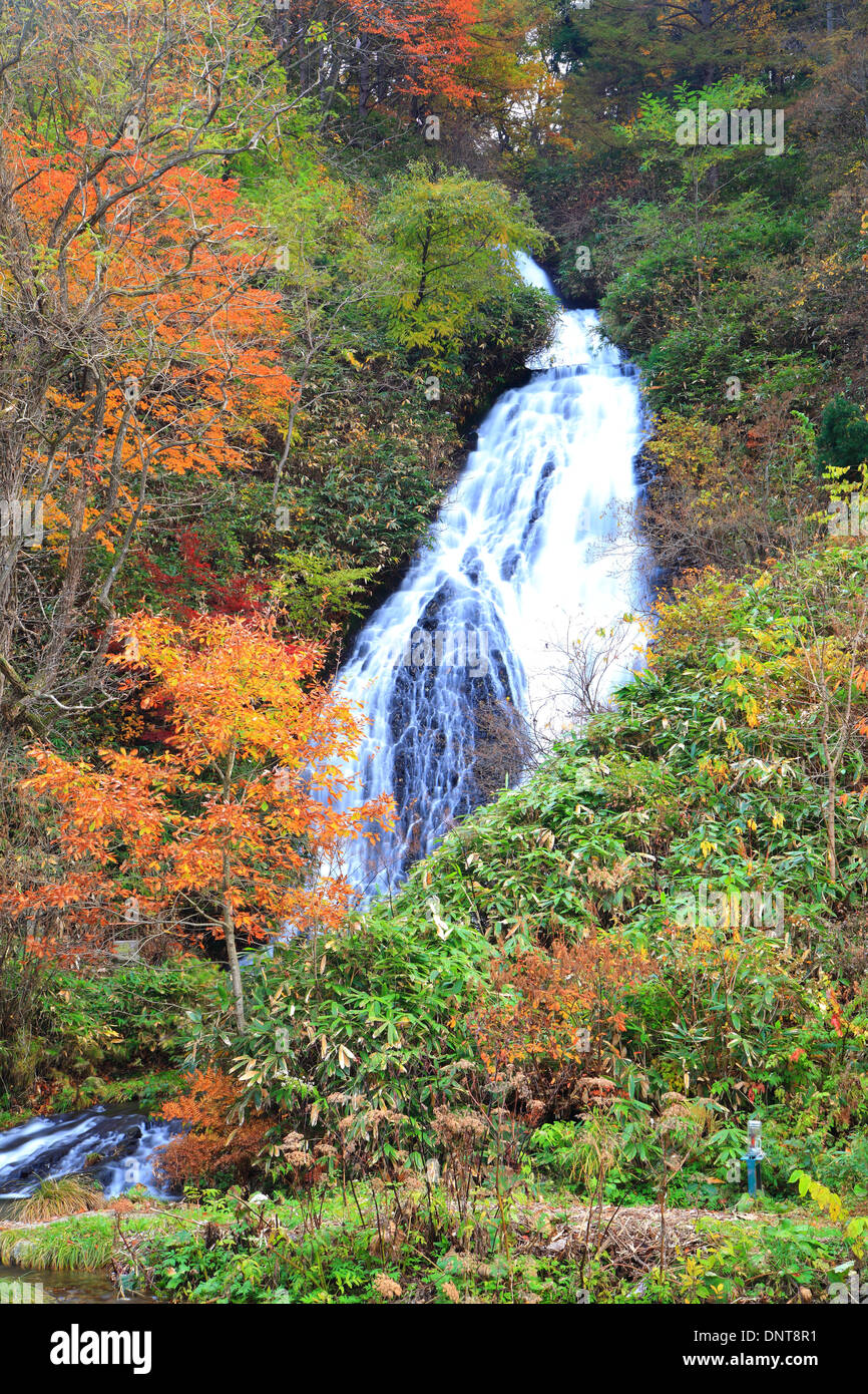 Waterfall in autumn, Name is Nanataki, Akita, Japan Stock Photo - Alamy