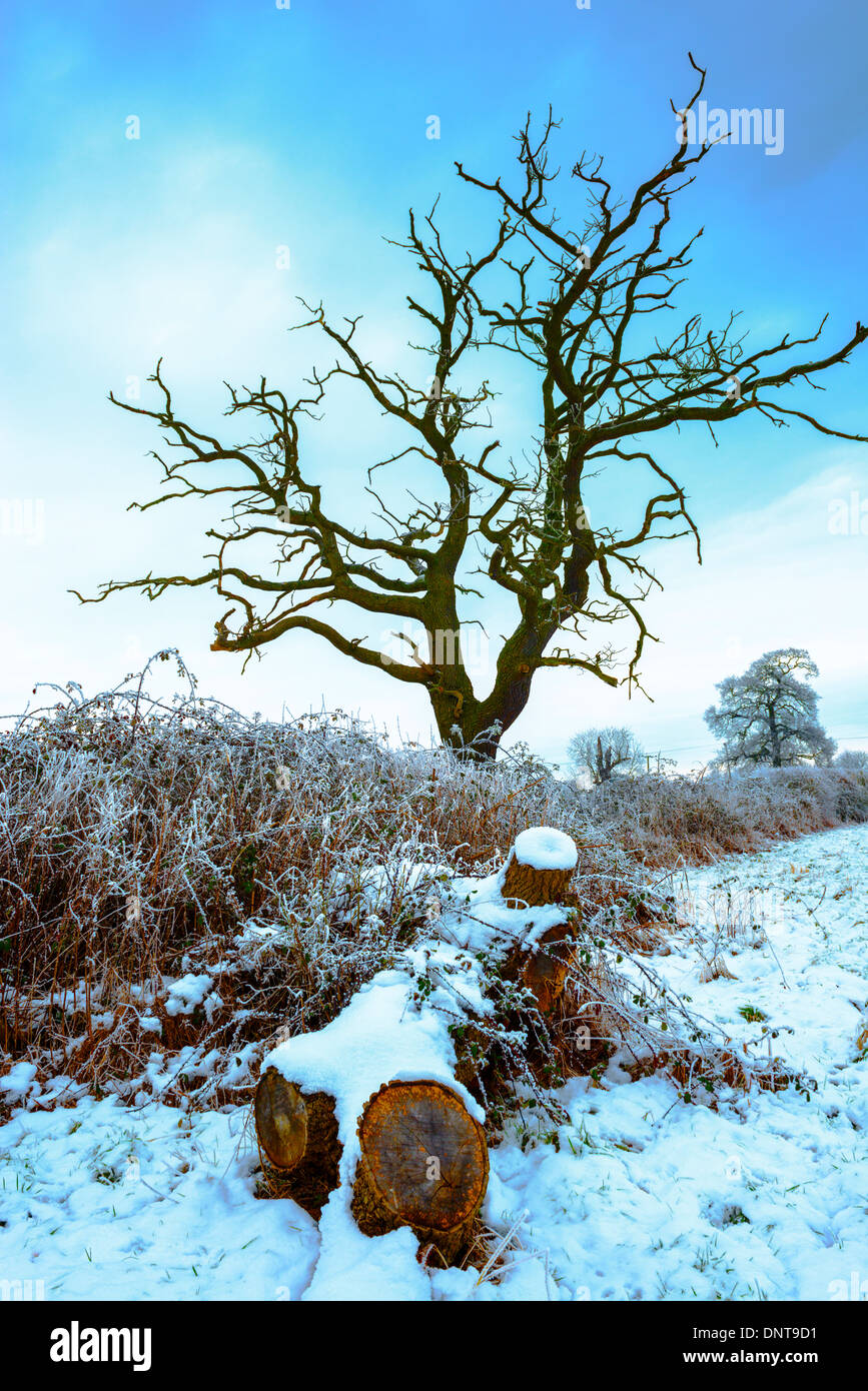 Winter in cambridgeshire hi-res stock photography and images - Alamy