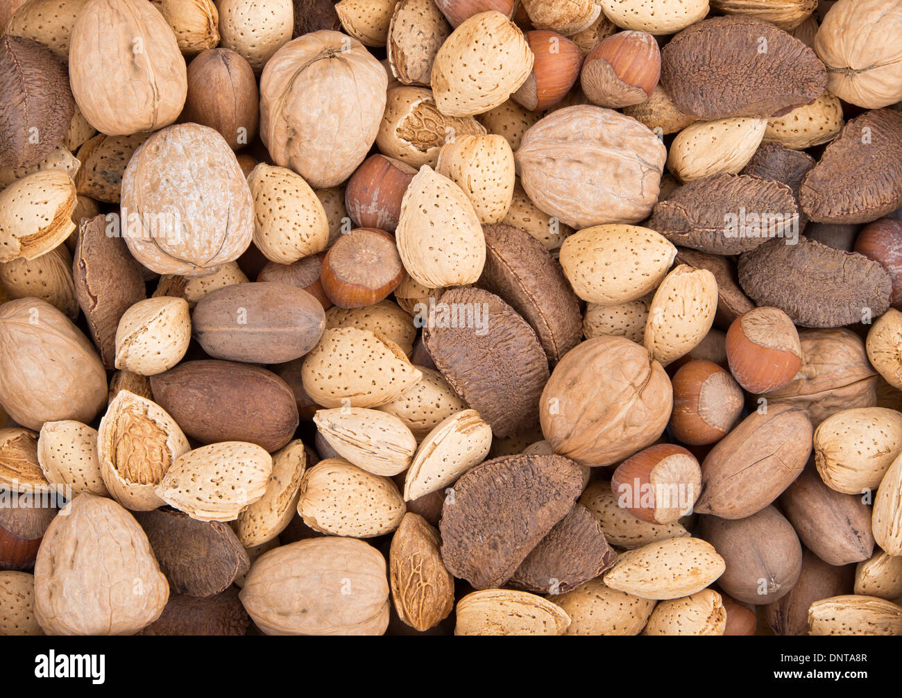 Mixed nuts background with almonds, walnuts, pecans, hazelnuts, and ...