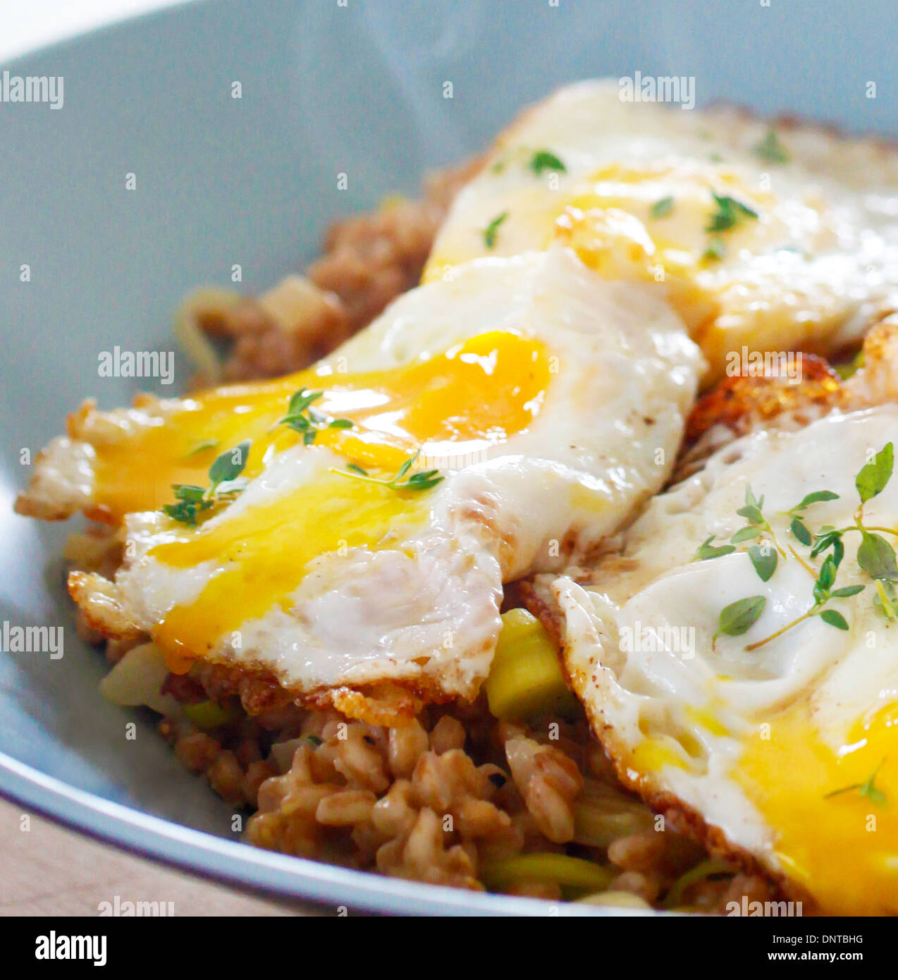 Bright egg hi-res stock photography and images - Alamy