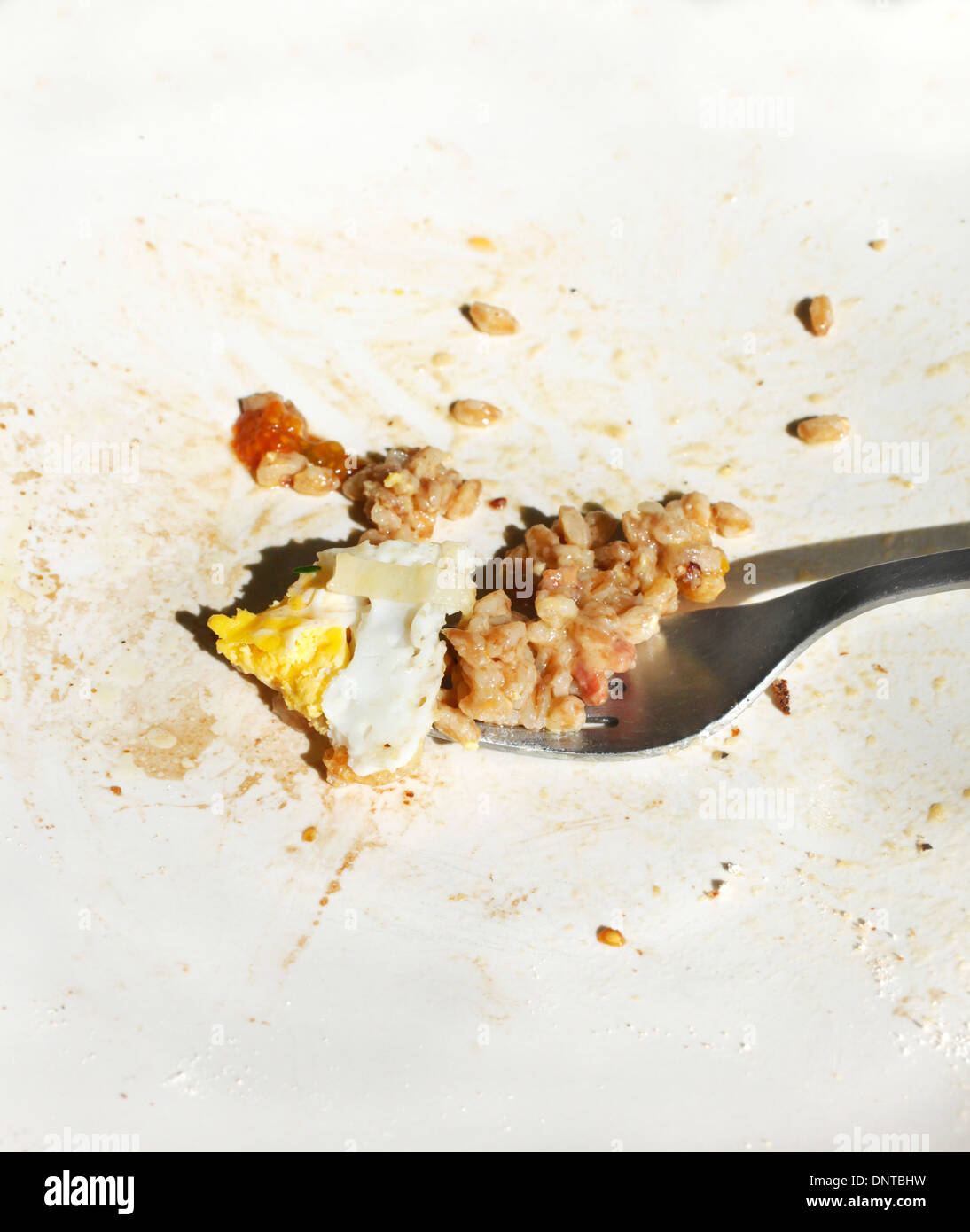 Egg bite hi-res stock photography and images - Alamy