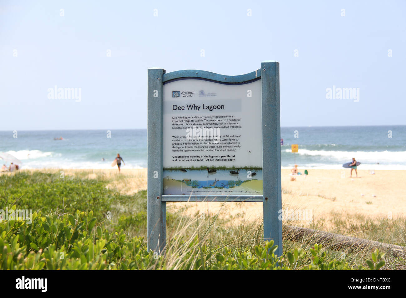 Dee Why, Sydney, NSW, Australia. 5 January 2014. The sign for Dee Why ...