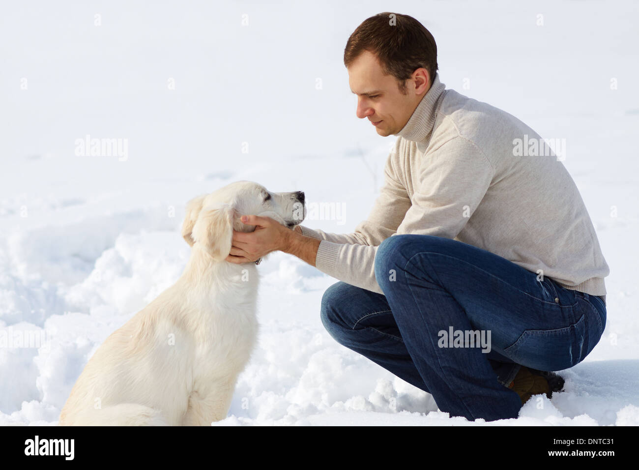 Winter Labrador retriever with owner Stock Photo - Alamy