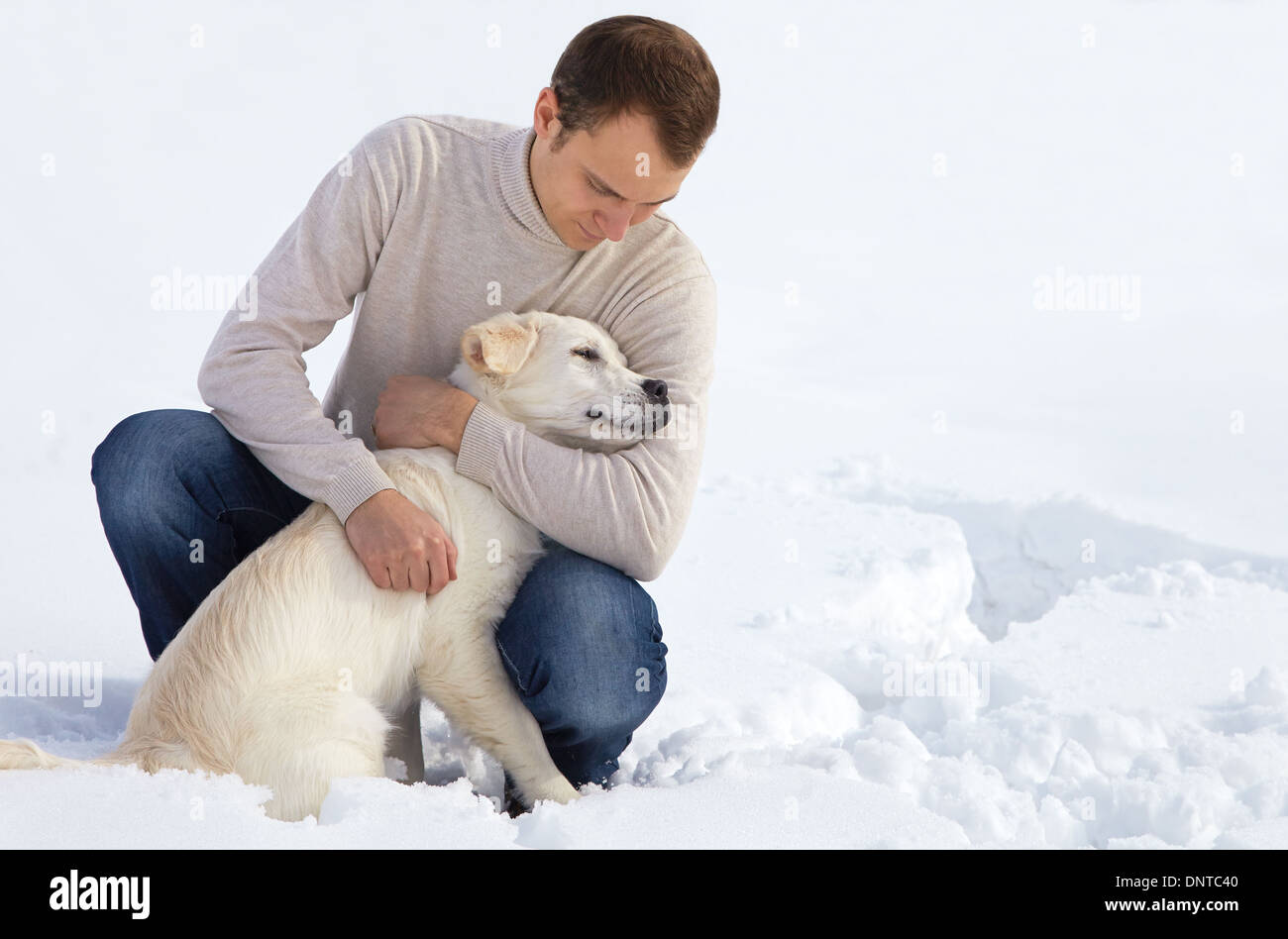 Winter Labrador retriever with owner Stock Photo - Alamy