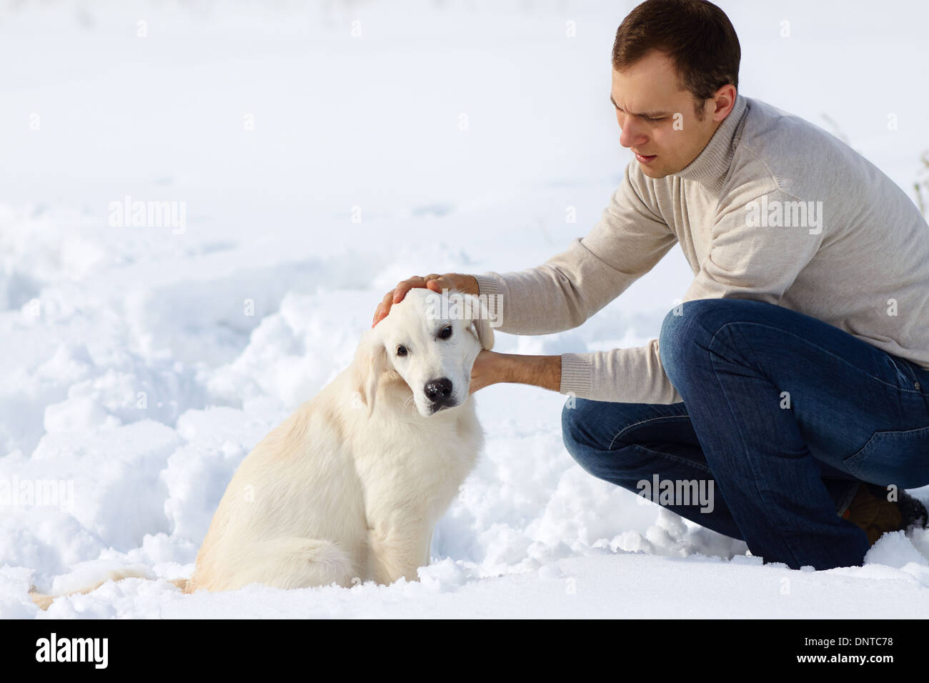 Winter Labrador retriever with owner Stock Photo - Alamy