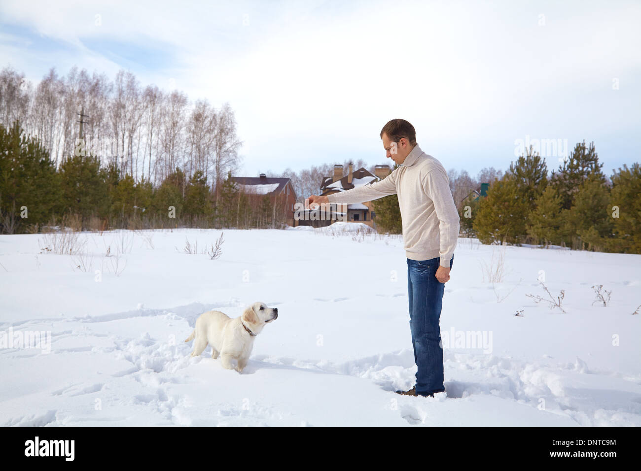 Portrait cheerful white labrador retriever hi-res stock photography and ...