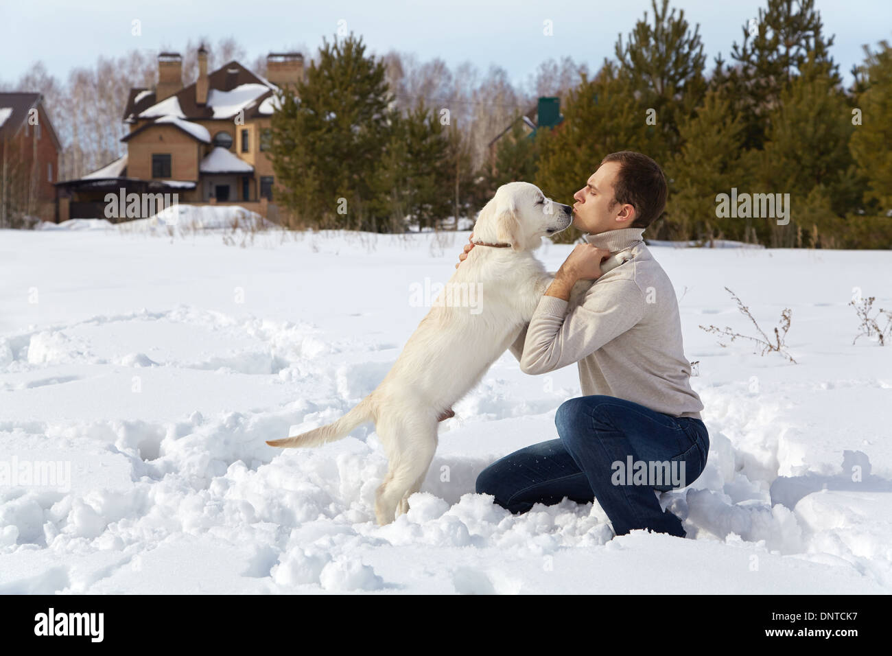 Winter Labrador retriever with owner Stock Photo - Alamy