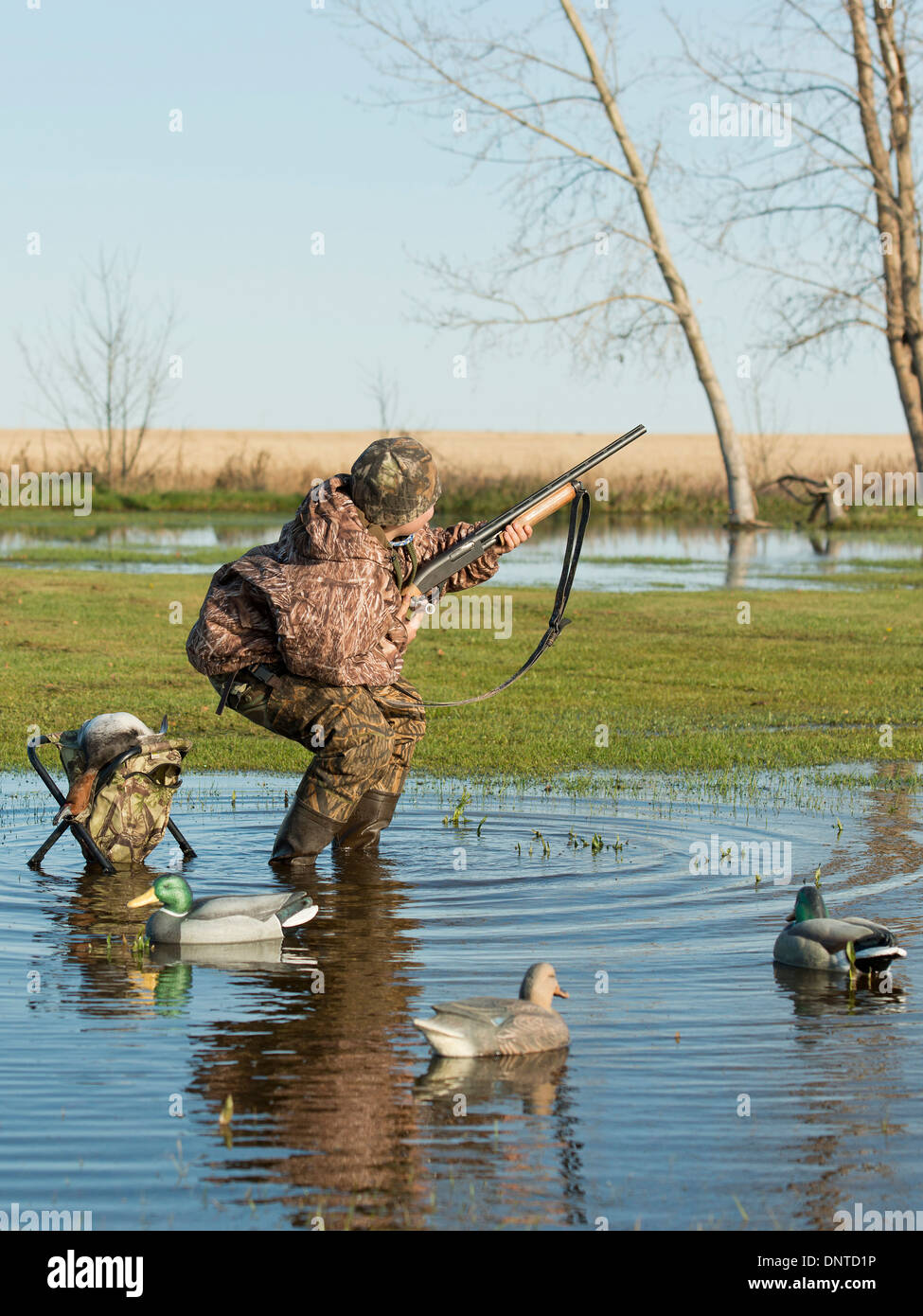 A young Duck Hunter Stock Photo - Alamy