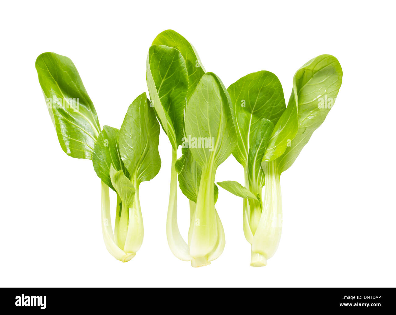 Food pak choi isolated hi-res stock photography and images - Alamy