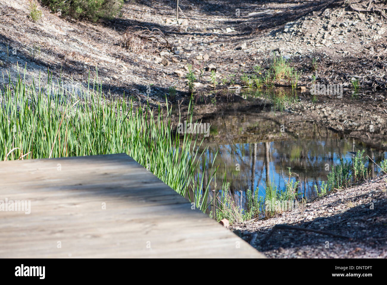Dam jetty hi-res stock photography and images - Alamy
