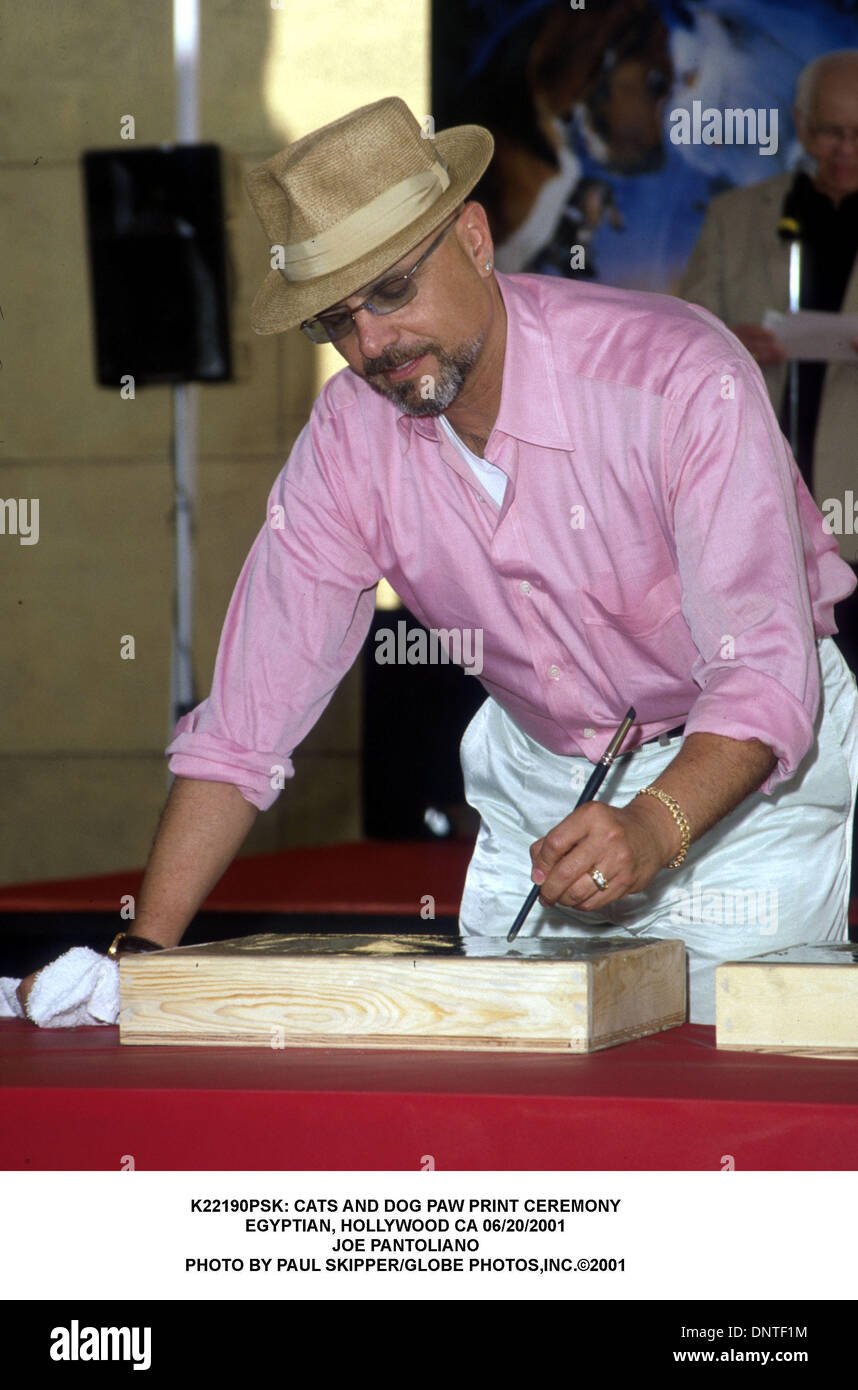 June 20, 2001 - K22190PSK: CATS AND DOG PAW PRINT CEREMONY.EGYPTIAN ...