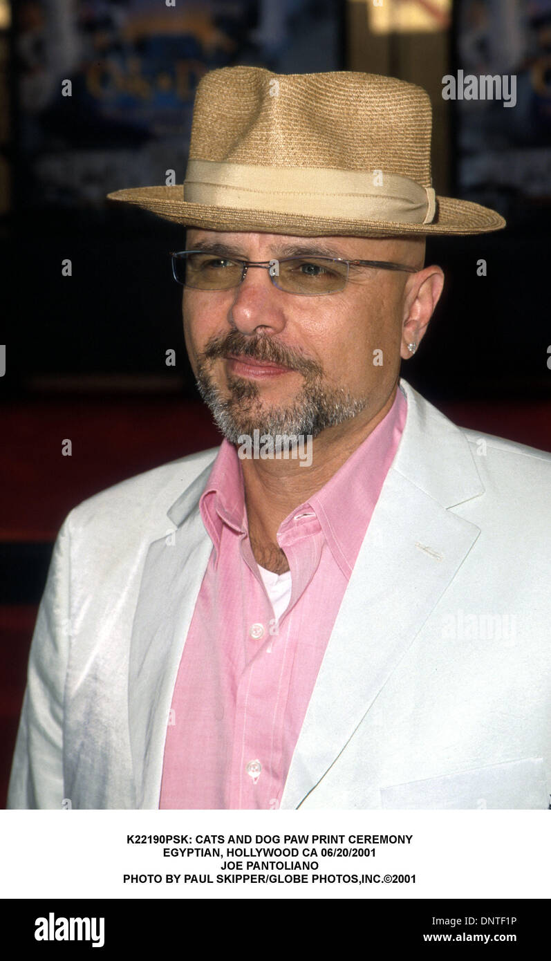 June 20, 2001 - K22190PSK: CATS AND DOG PAW PRINT CEREMONY.EGYPTIAN ...