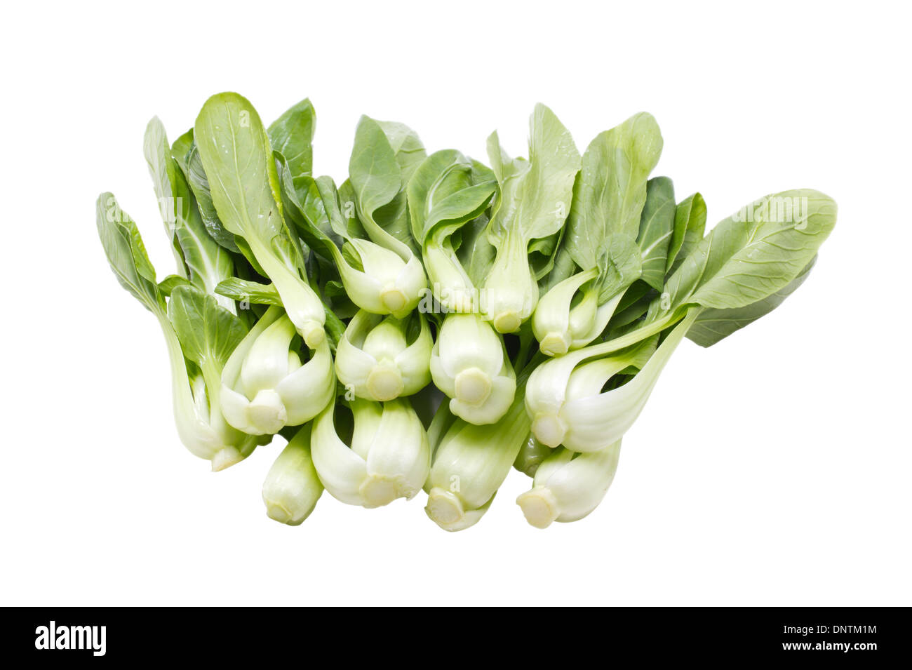 Raw fresh baby bok Cut Out Stock Images & Pictures - Alamy