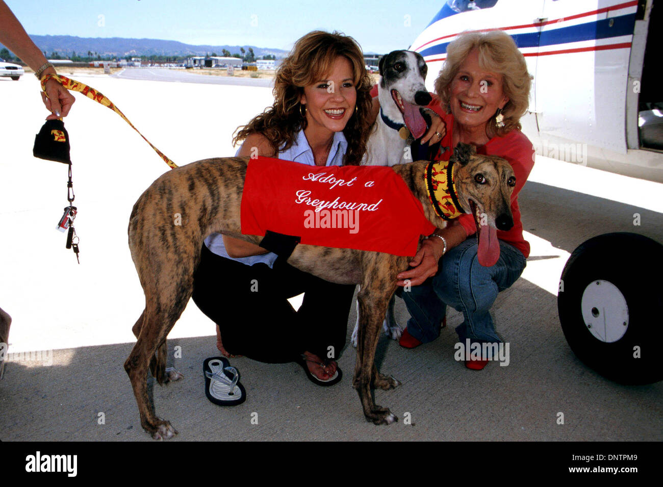 July 24, 2002 - K25640MR: ARK TRUS SPONSORS GREYHOUND RESCUE.PILOT ...