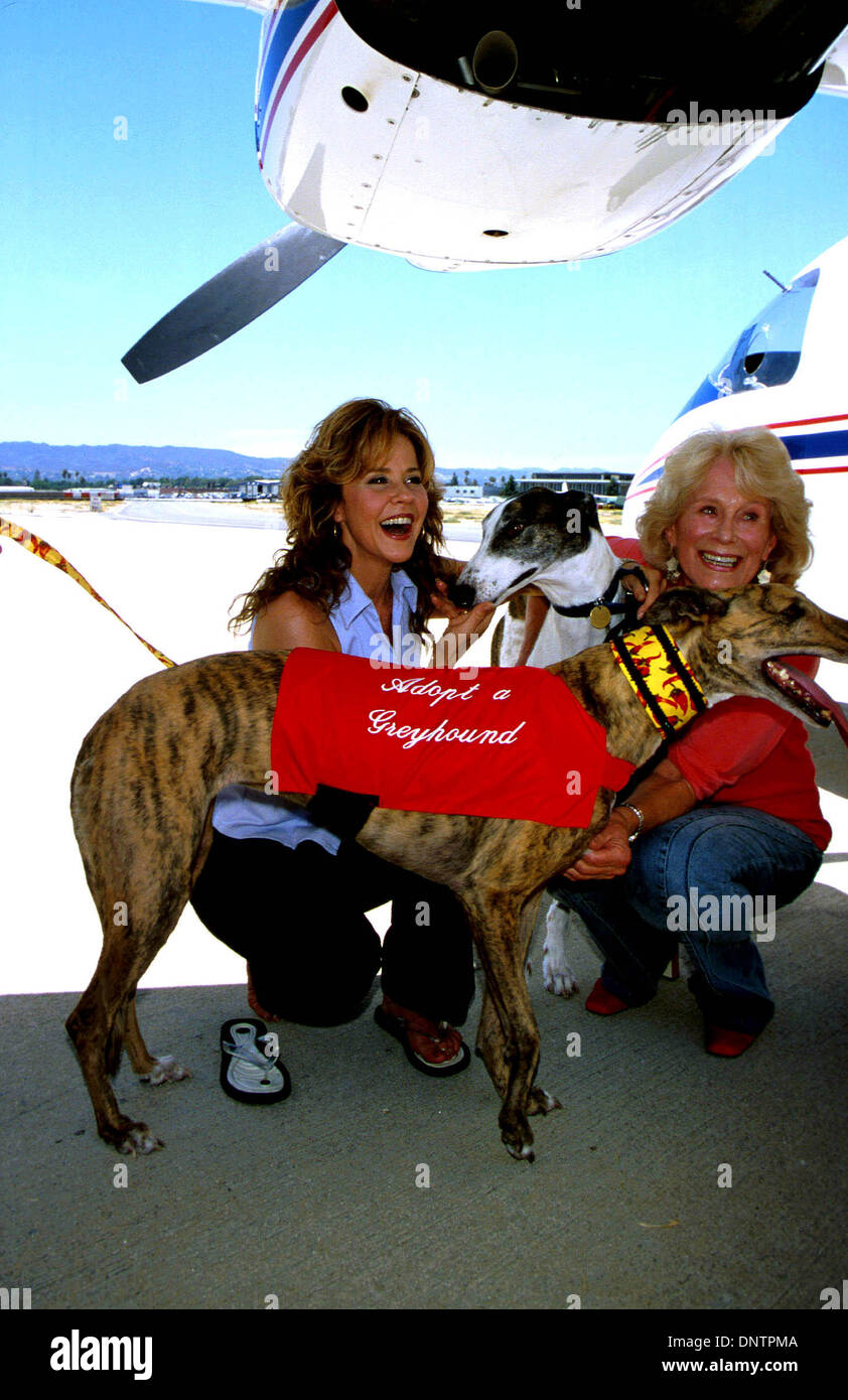 July 24, 2002 - K25640MR: ARK TRUS SPONSORS GREYHOUND RESCUE.PILOT ...