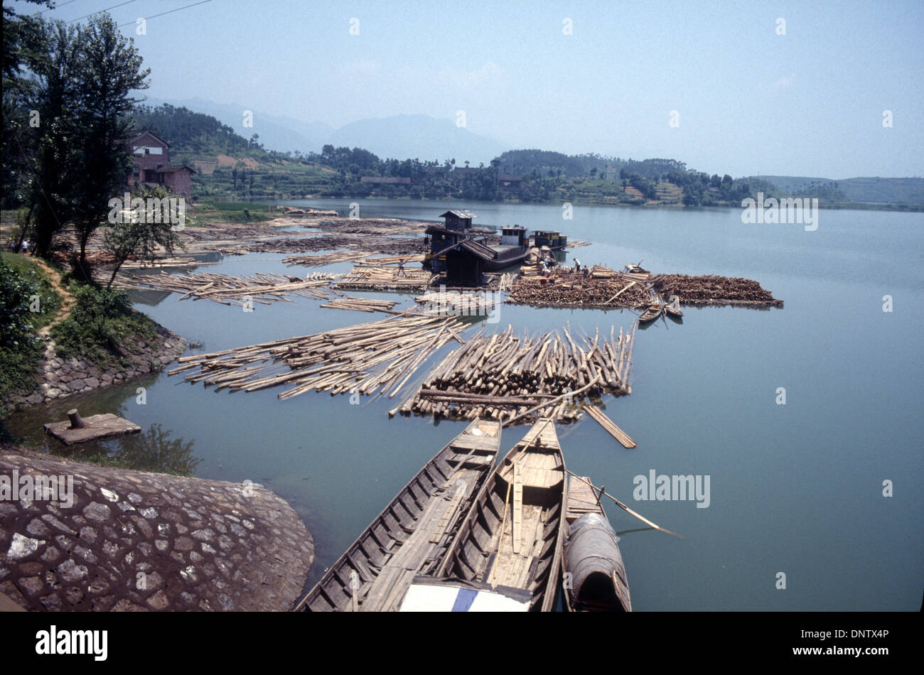 A small bay gathered wood for transportation in Hunan Province, China ...