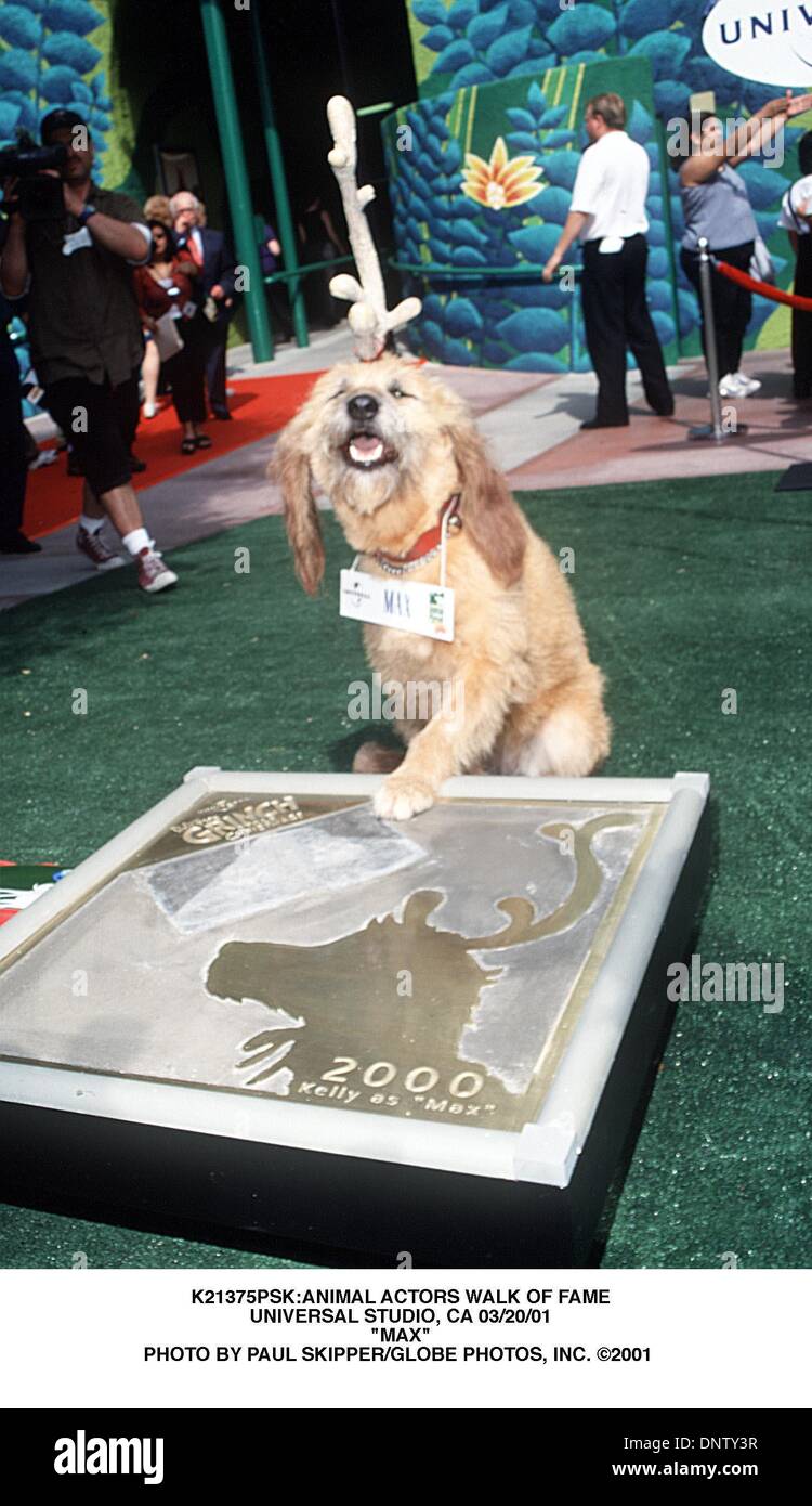 Mar. 20, 2001 - K21375PSK:ANIMAL ACTORS WALK OF FAME.UNIVERSAL STUDIO ...