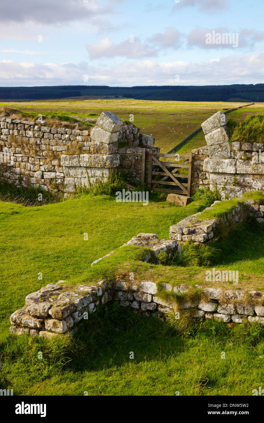 Milecastle 37 gate house near Housteads Roman Fort on Hadrian’s Wall ...