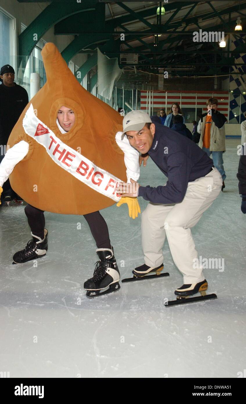 Chelsea piers sky rink hi-res stock photography and images - Alamy