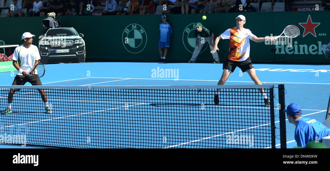 Butorac hi-res stock photography and images - Alamy