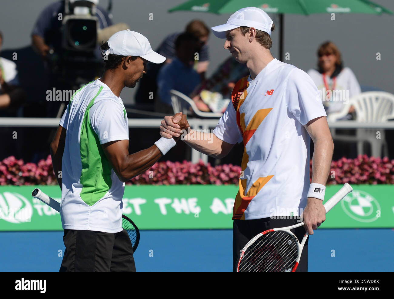 Butorac hi-res stock photography and images - Alamy