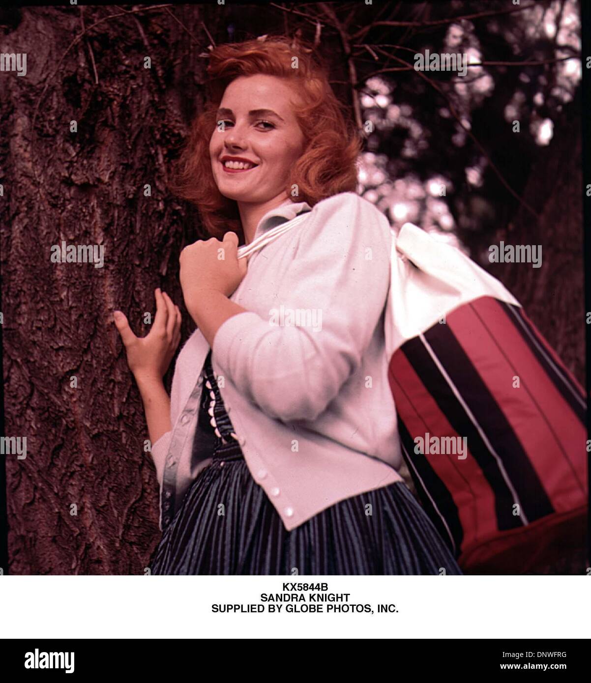 Sandra knight hi-res stock photography and images - Alamy