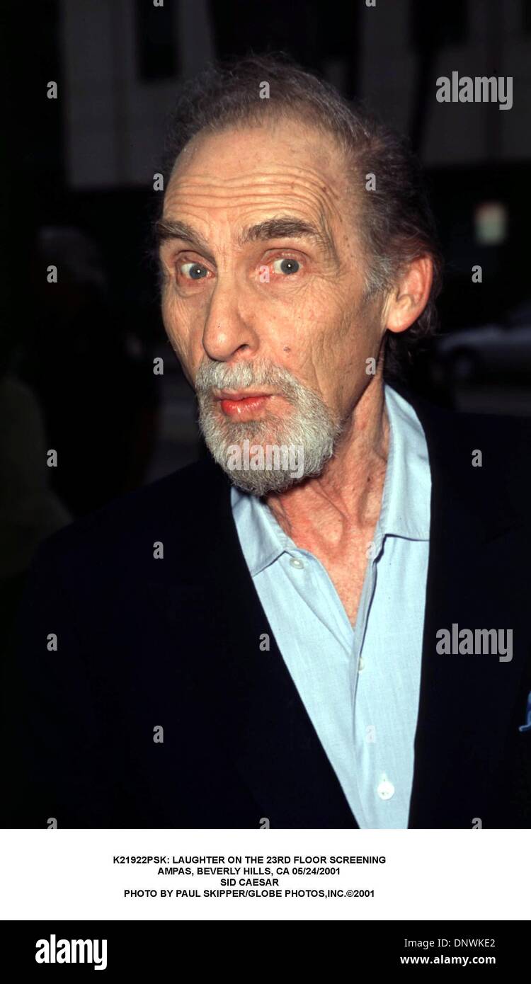May 25, 2001 - K21922PSK: LAUGHTER ON THE 23RD FLOOR SCREENING.AMPAS ...