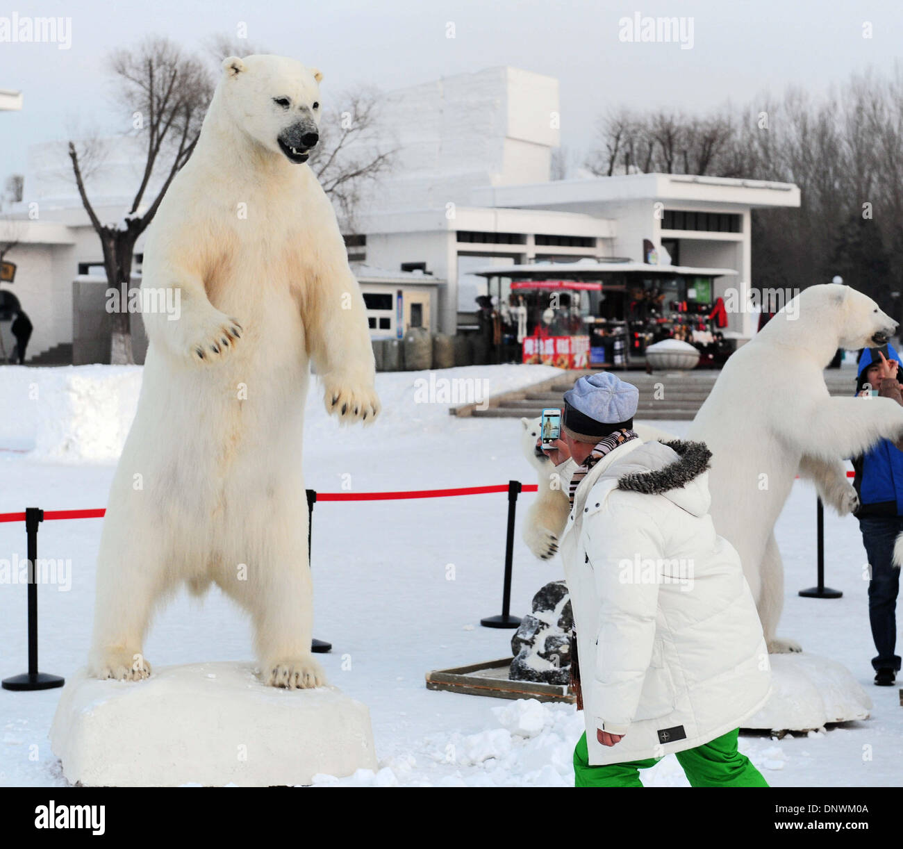 Stuffed polar bear hi-res stock photography and images - Alamy