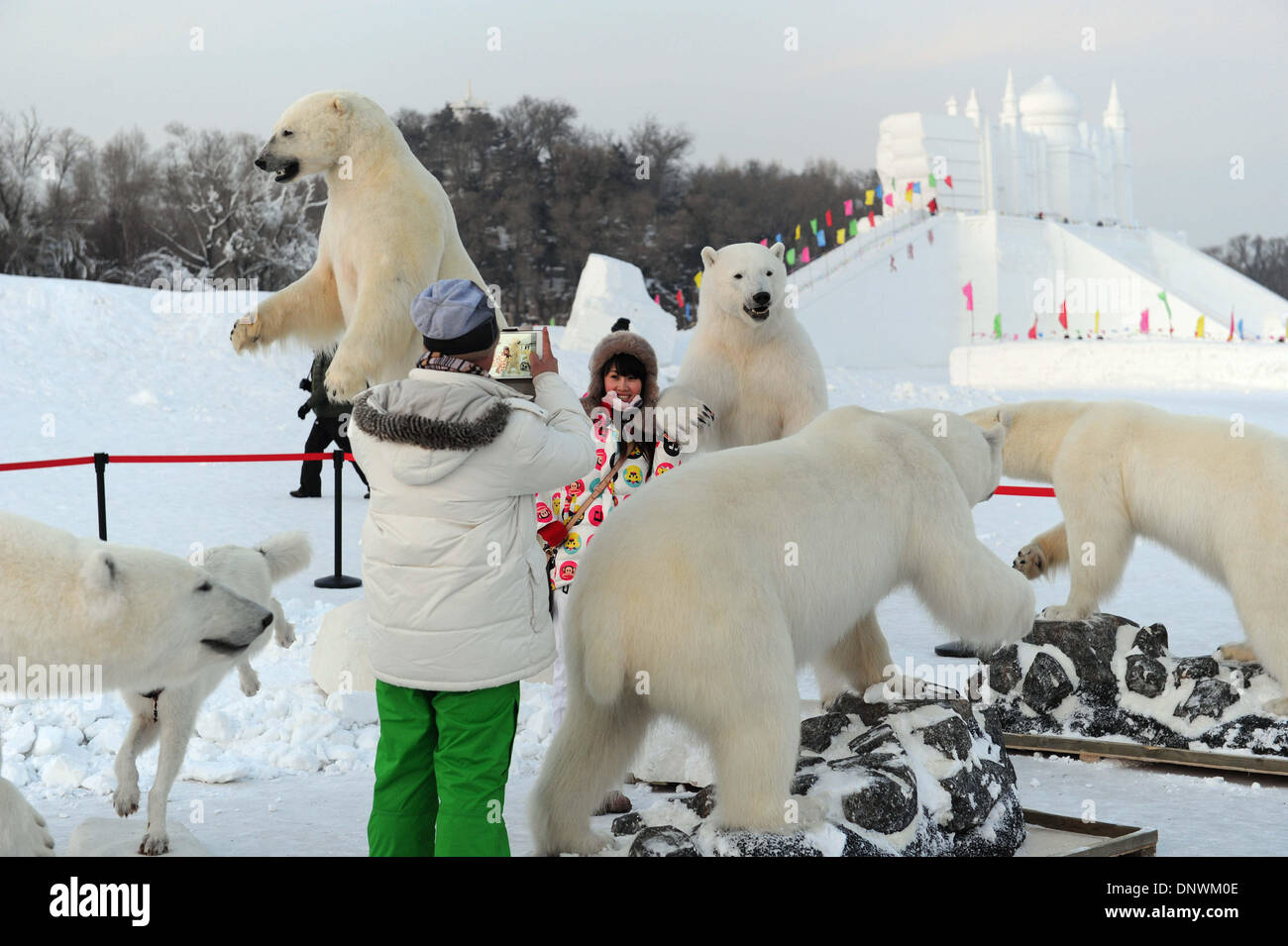 Harbin, China's Heilongjiang Province. 6th Jan, 2014. A woman poses for ...