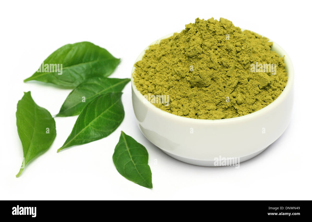 Henna leaves with powder on ceramic bowl over white background Stock ...