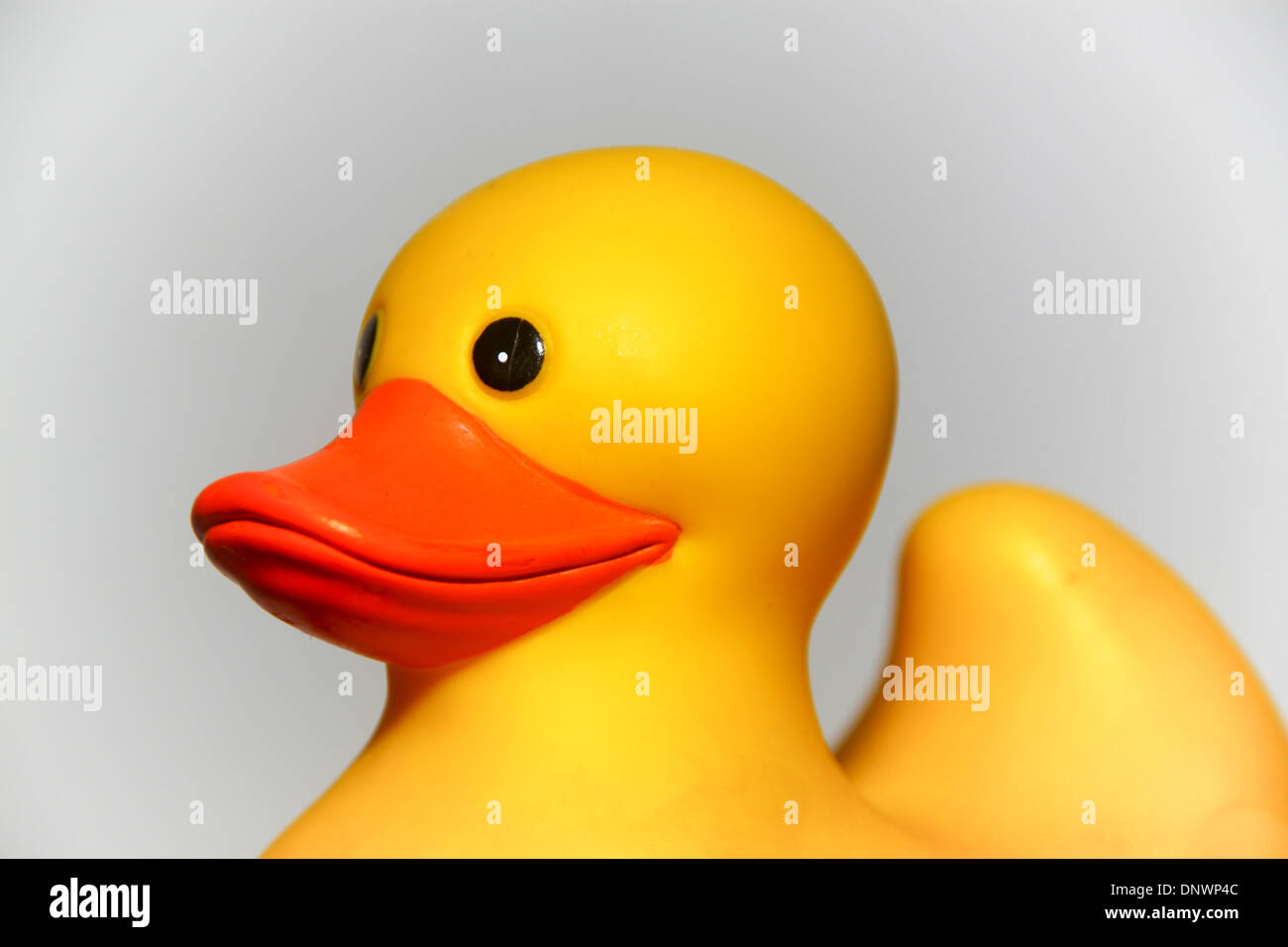 Classic yellow plastic duck Stock Photo - Alamy