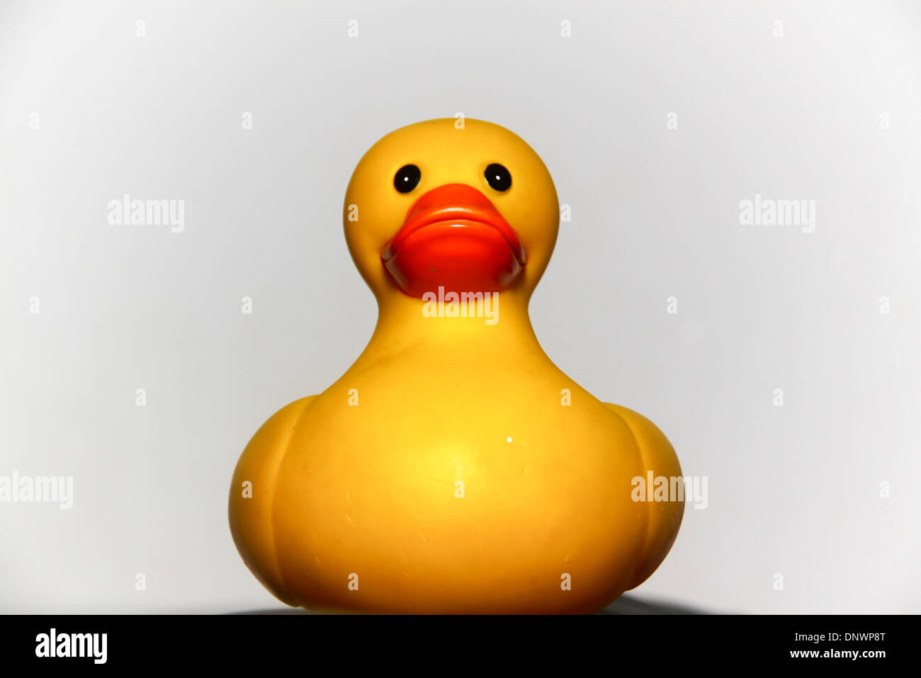 Classic yellow plastic duck Stock Photo - Alamy