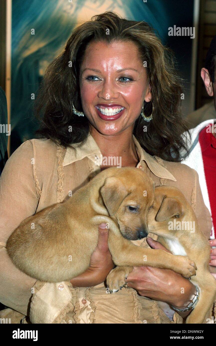 Jan. 1, 1980 - K25575JBB: BROADWAY BARKS 4!, A STAR-STUDDED DOG AND CAT ...