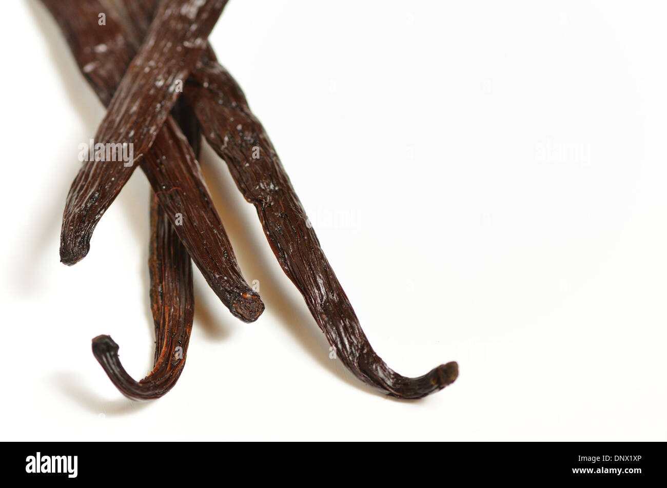 Vanilla beans plant hi-res stock photography and images - Alamy