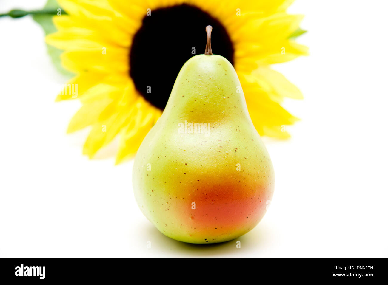 Pear with sunflower Stock Photo - Alamy