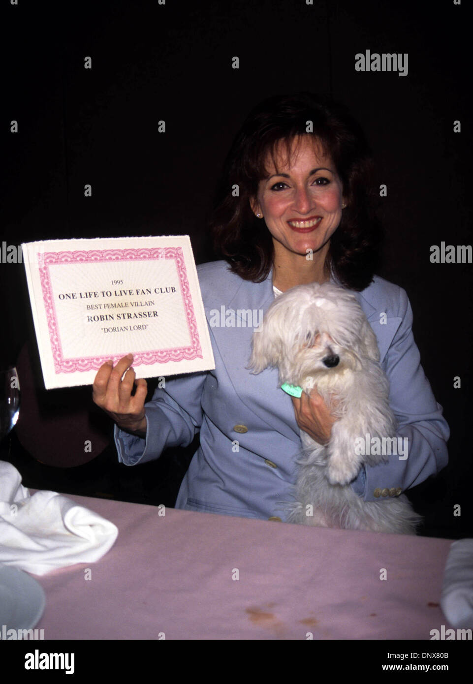 Robin strasser hi-res stock photography and images - Alamy