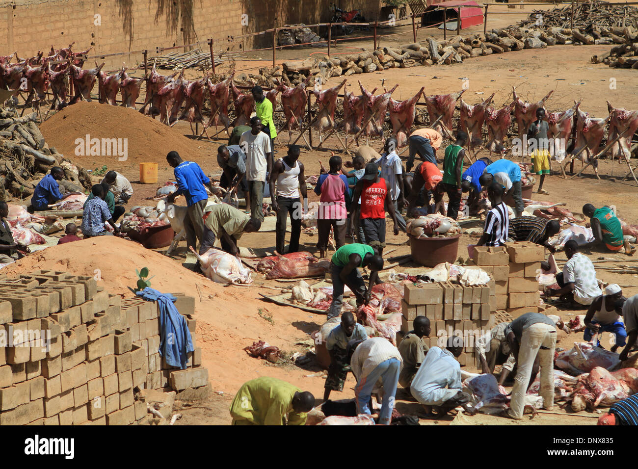 Men from the community in Niamey, Niger work together to sacrifice ...