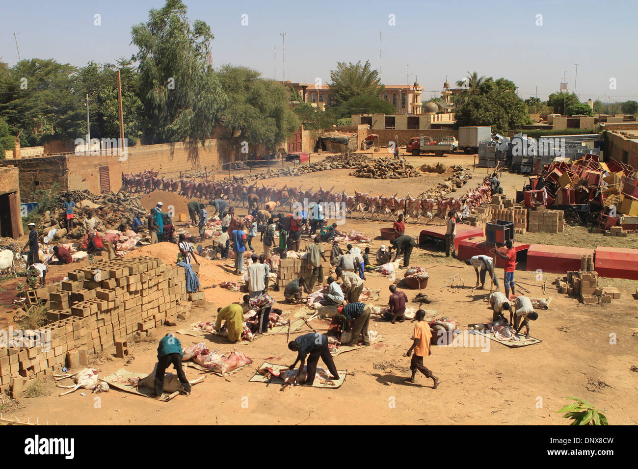 Men from the community in Niamey, Niger work together to sacrifice ...