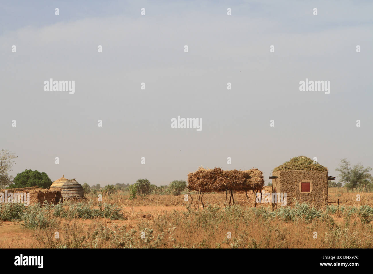 Traditional village scene in Niger with farmland and housing Stock ...