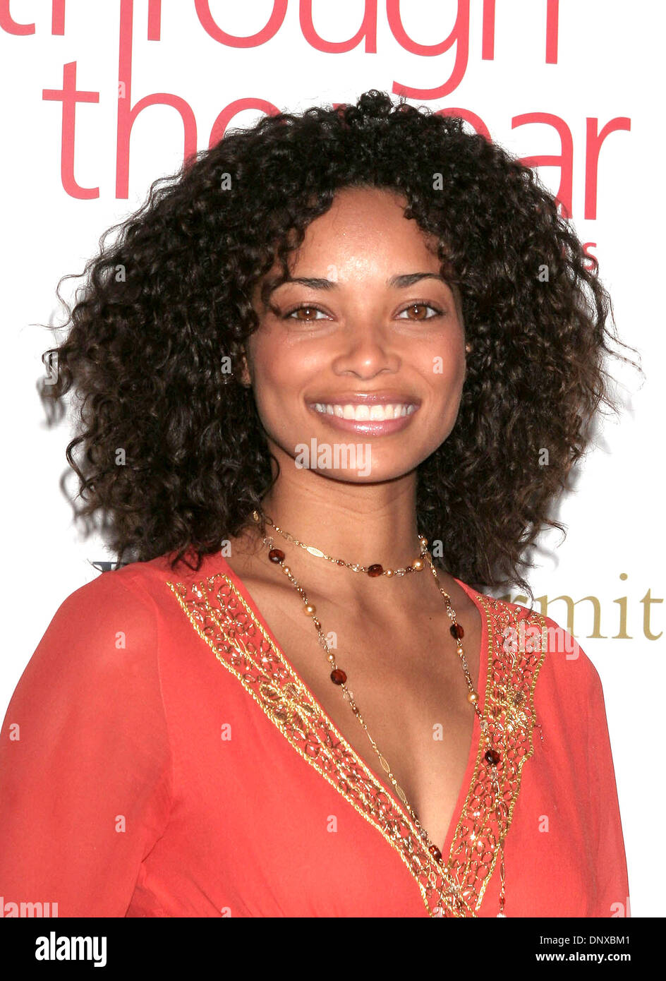 Dec 04, 2005; Los Angeles, CA, USA; Actress ROCHELLE AYTES at the ...