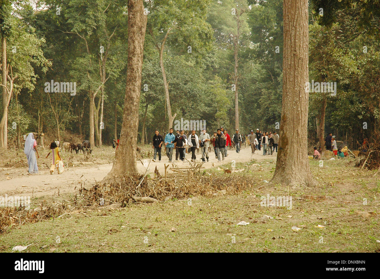 Jungle walk nepal hi-res stock photography and images - Alamy