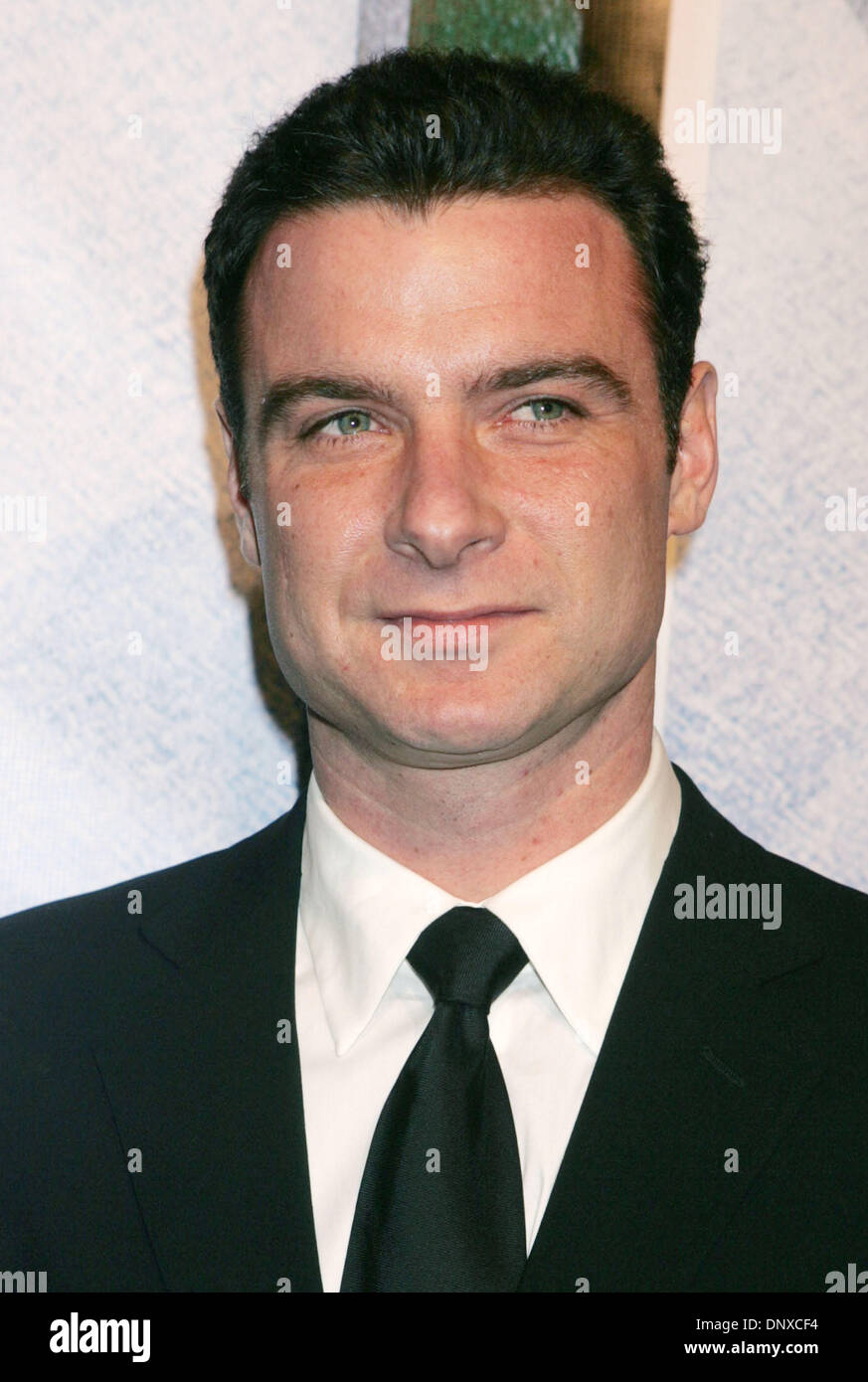 Dec 05, 2005; New York, NY, USA; Actor LIEV SCHREIBER at the world ...