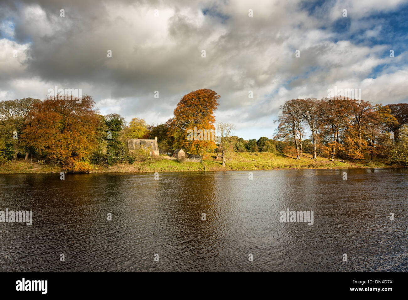 River Tyne Hexham High Resolution Stock Photography and Images - Alamy